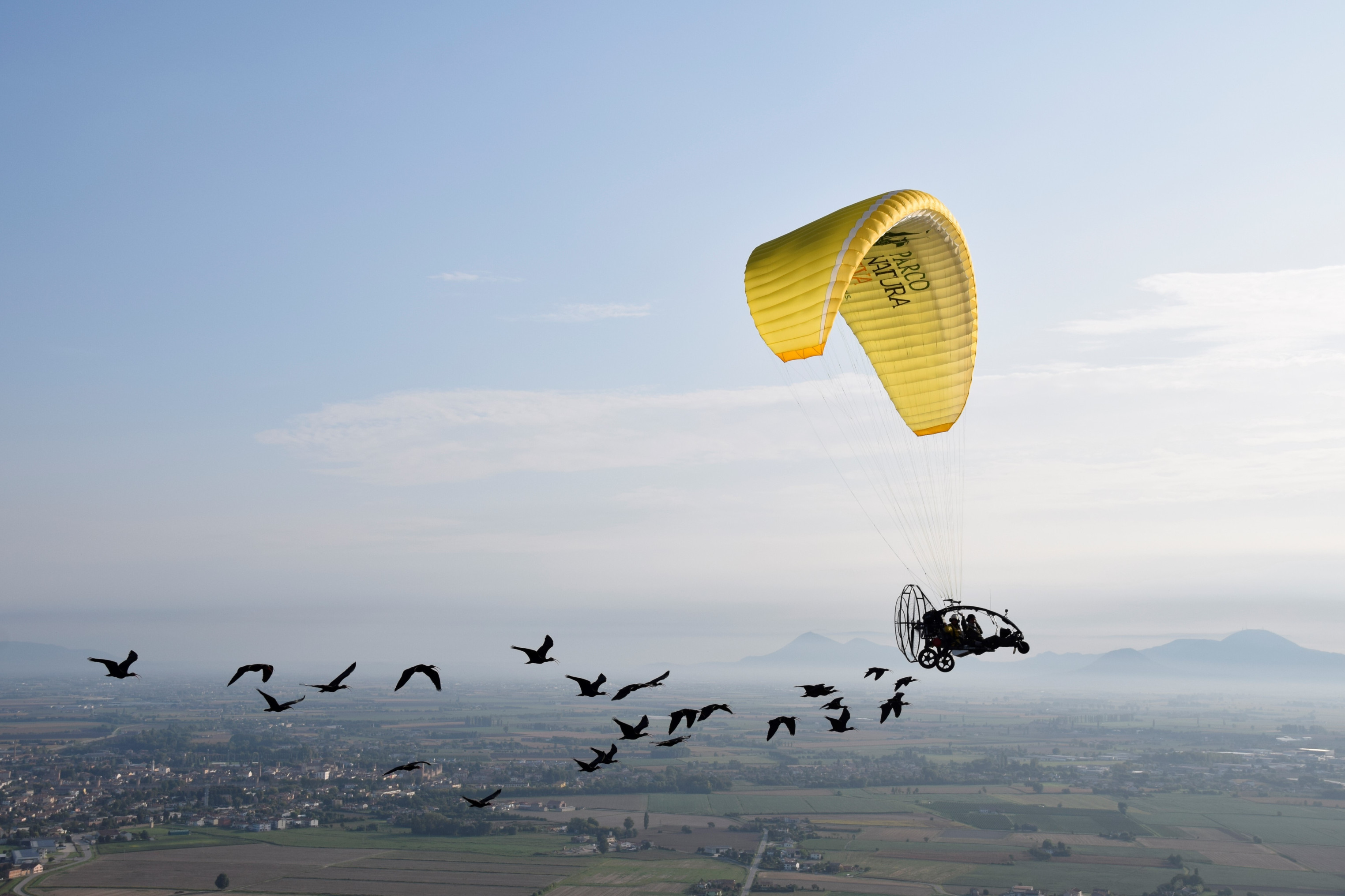 LIFE Northern Bald Ibis - Radio FRO