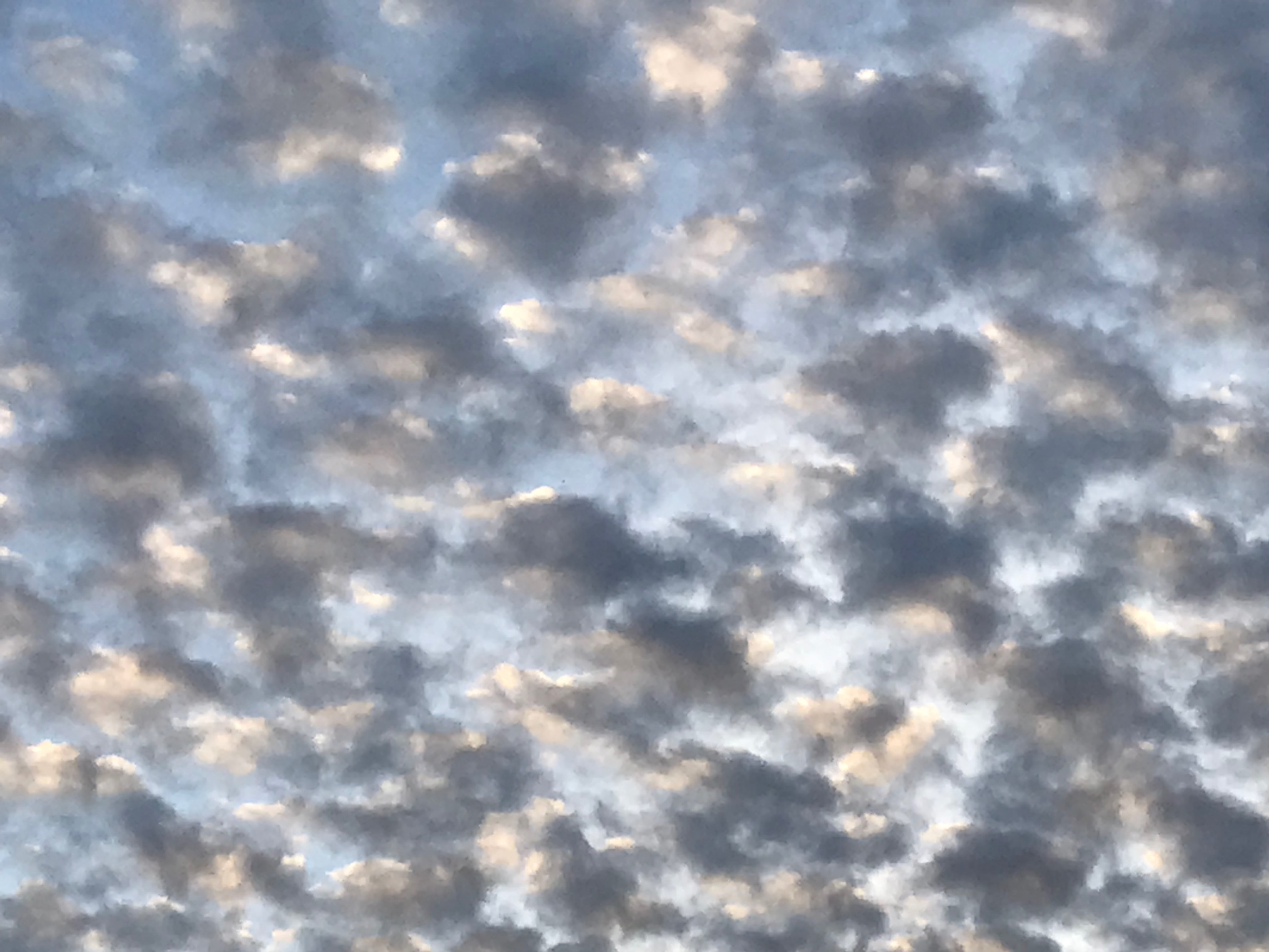 Paul Benjamin Auster - Radio FRO