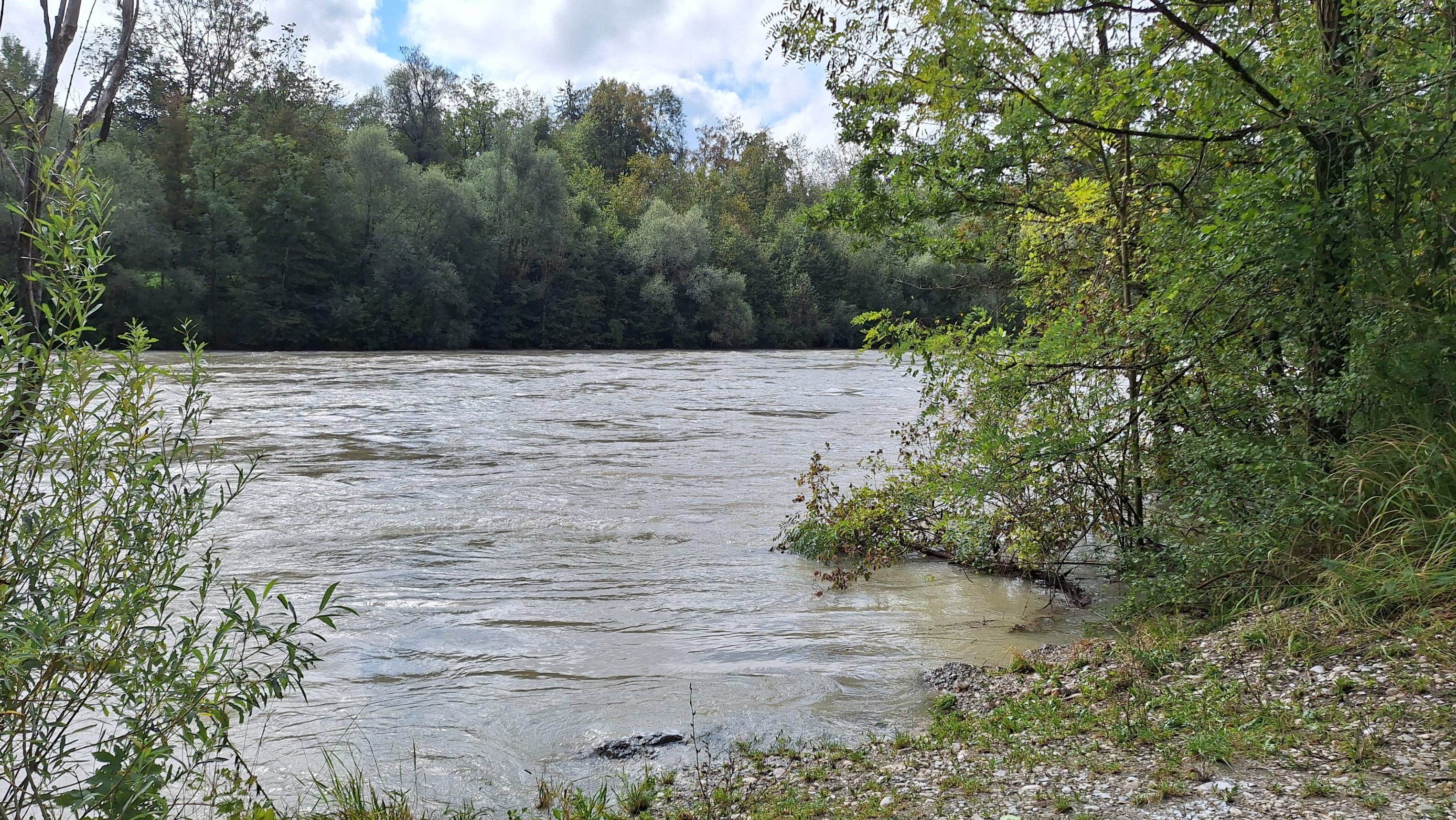 Renaturierung von Gewässern und Hochwasserschutz - Radio FRO