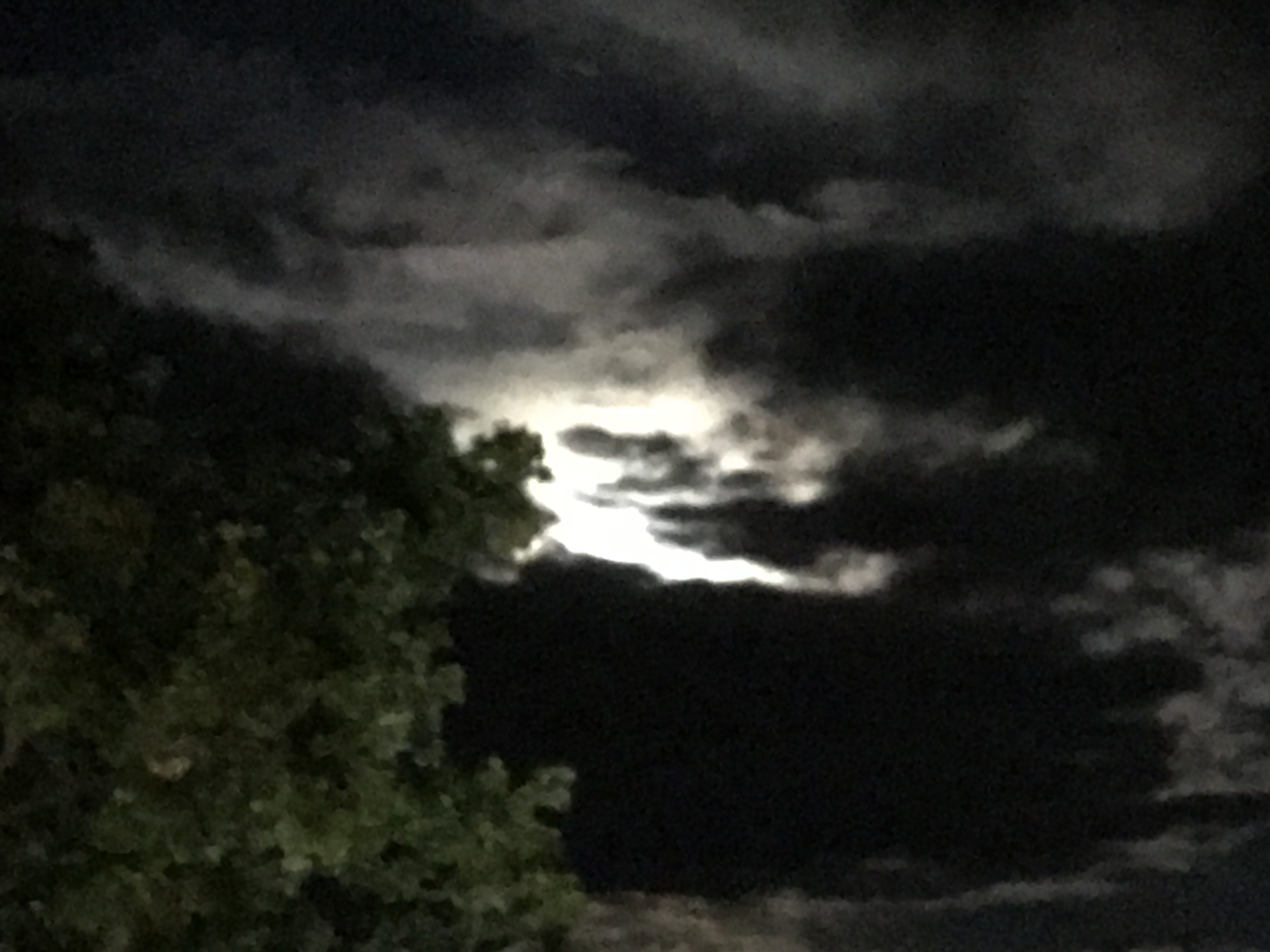 'Der Traum als Wunscherfüllung . . . - Radio FRO