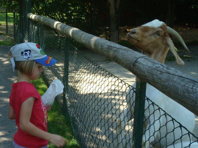 Eine faszinierende Reise durch den Zoo Linz. - Radio FRO